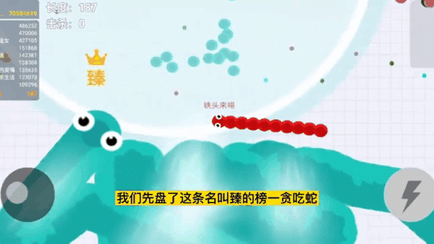 电影贪吃蛇大作战截图