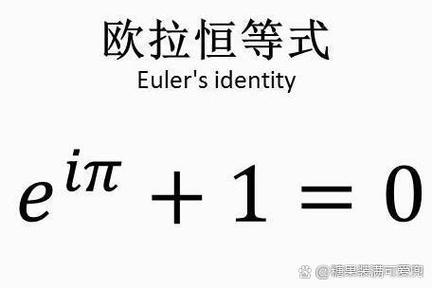 欧拉数学免费vip兑换码图标