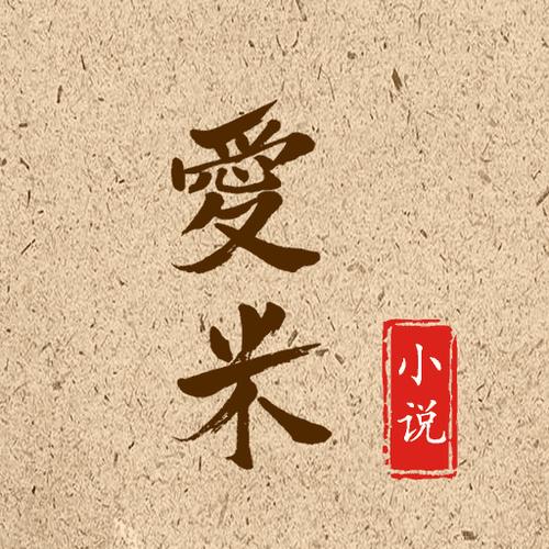 艾米小说免费阅读全文图标