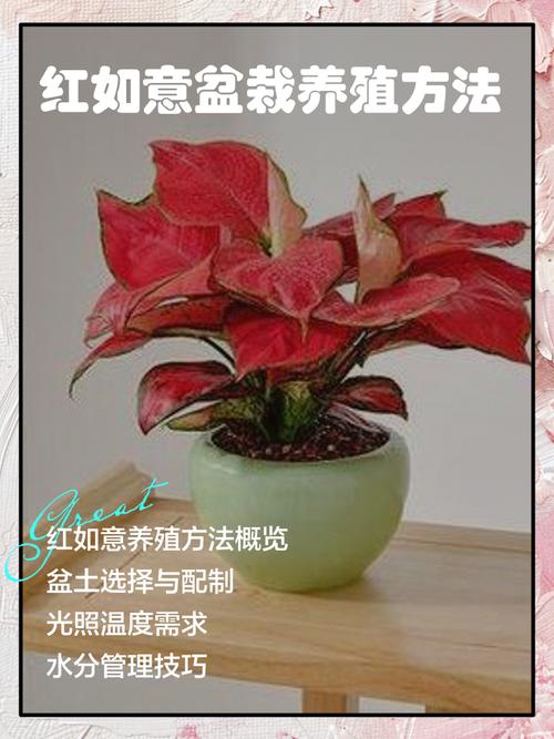 如意花园养花赚钱图标