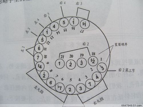 c调转d调怎么转图标