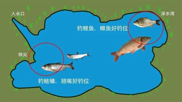 同一个钓位能天天钓吗截图