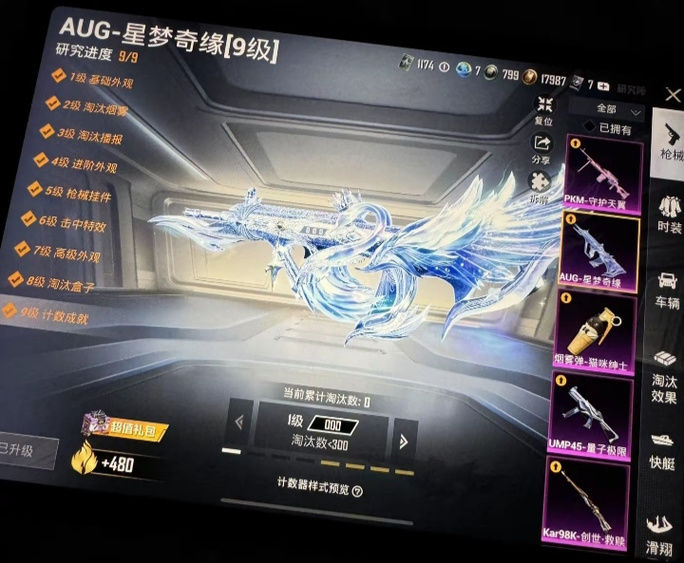 美化包星梦奇缘和平精英缩略图