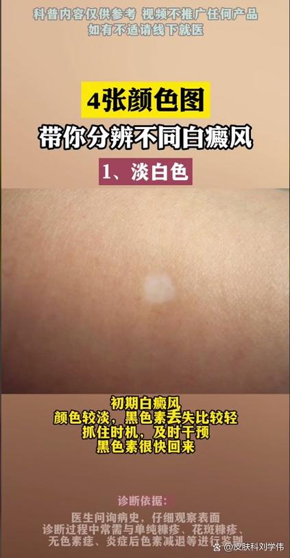 白色颜色大全图标