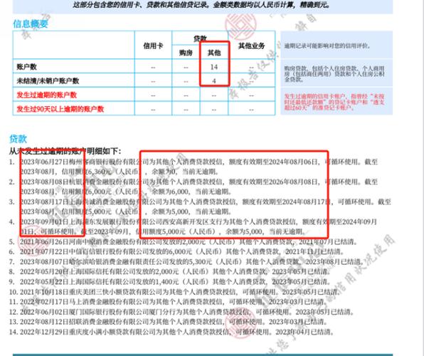 怎么查询自己名下网贷截图