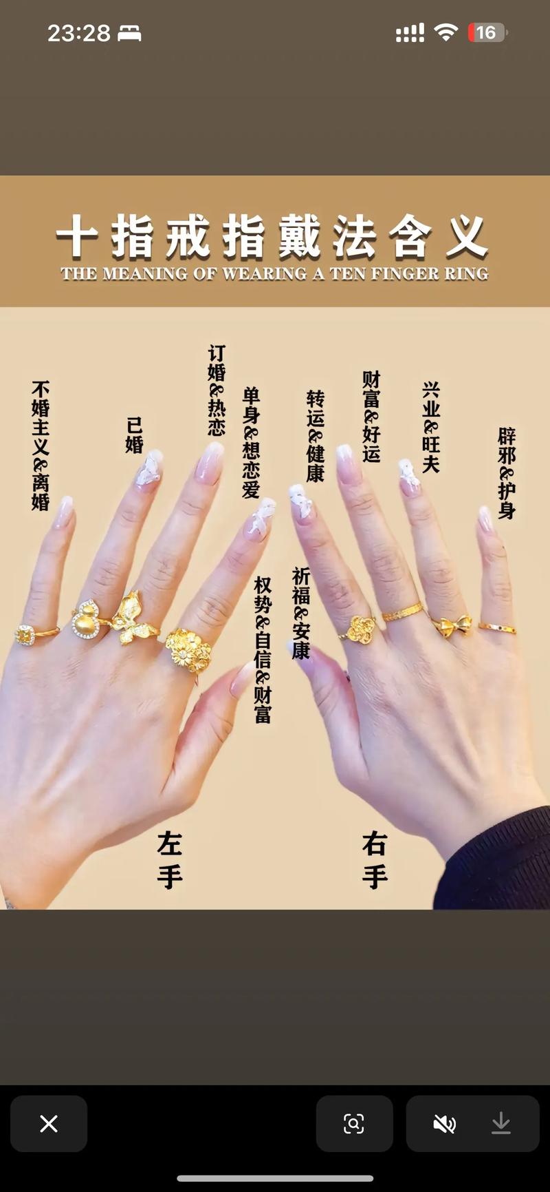 加腾鹰的黄金指教程图标