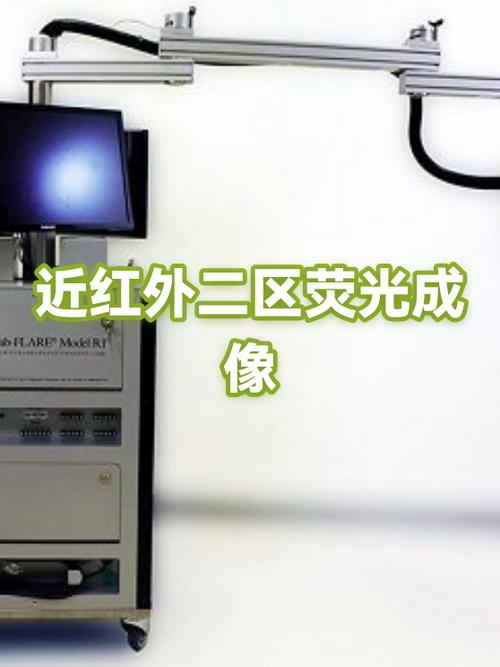 紫光灯照身上有荧光点图标