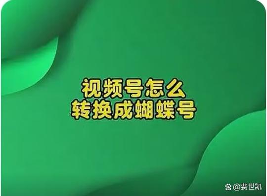 微信蝴蝶号暗示什么图标