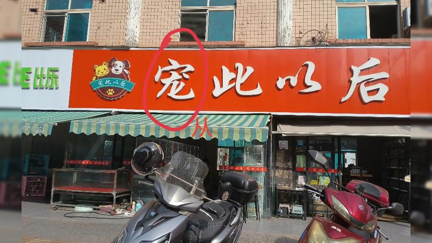 20个错别字截图