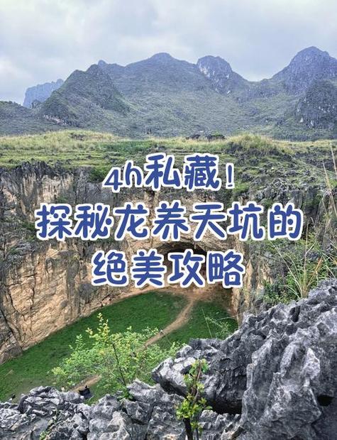 真的养龙能赚钱吗?图标