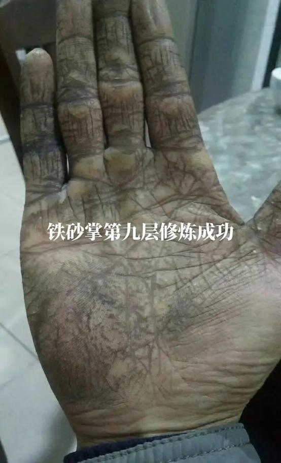 铁砂掌多久能练成图标