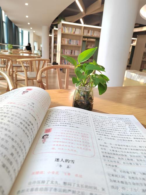 叶雄心怡看书吧图标
