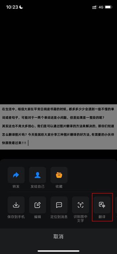 钉钉有实时翻译功能吗图标