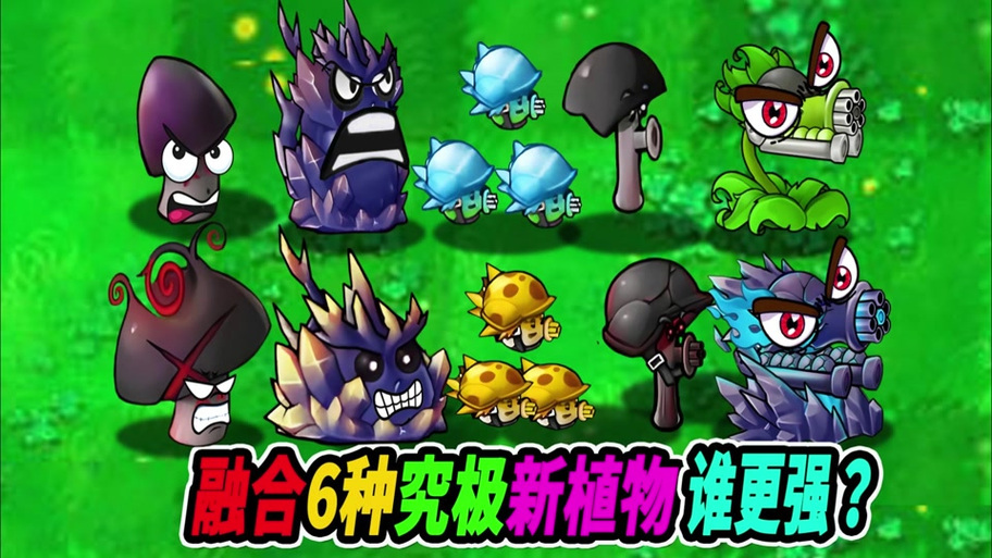 至尊美化包图标