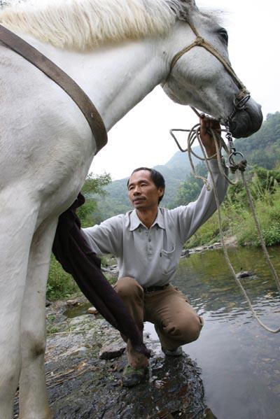 马通人性吗?聪明吗?截图