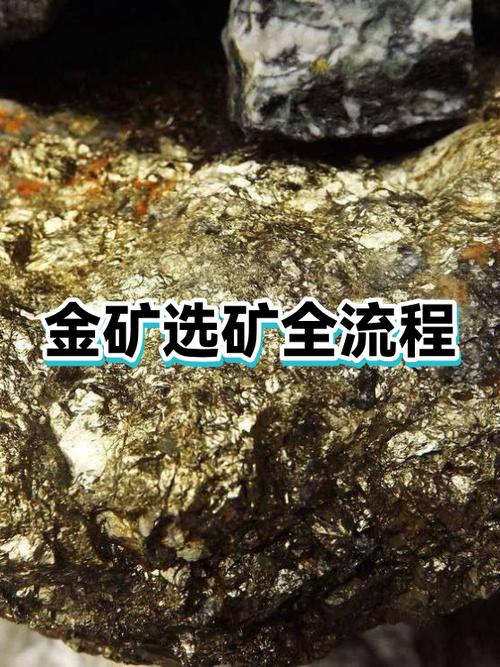 金矿选矿截图
