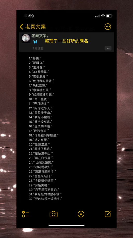 和平精英超长名字代码