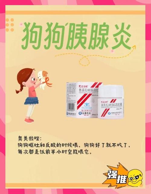 狗狗只呕吐不腹泻吃什么药图标