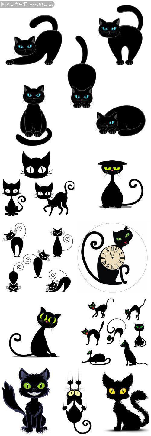 黑猫动漫下载图标