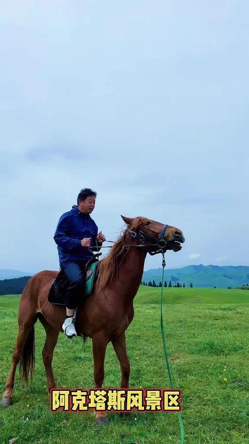 塔斯牧连牧场图标