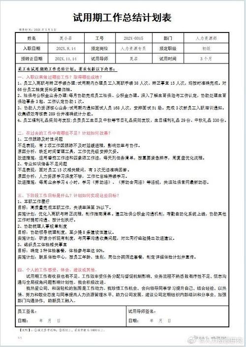 试用期自我总结