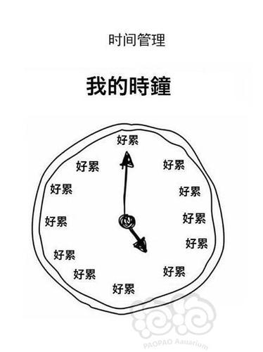 有没有早睡早起打卡的软件图标