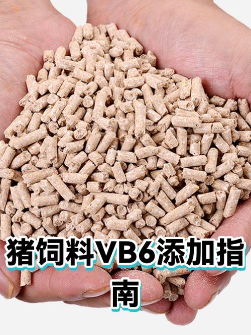vb6.0有哪三个版本图标