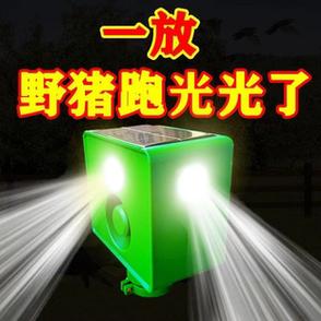 玉米地吓野猪神器截图