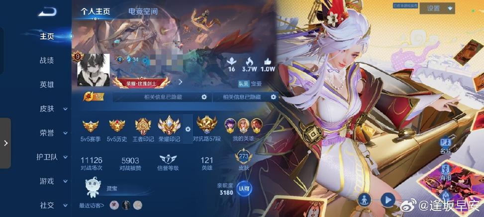 p王者省服标志的软件截图