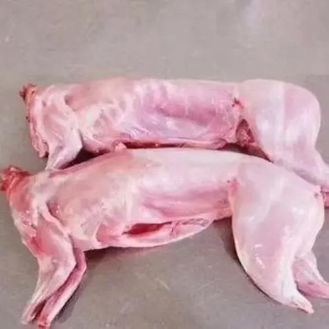 兔子肉为什么叫死亡肉呢图标