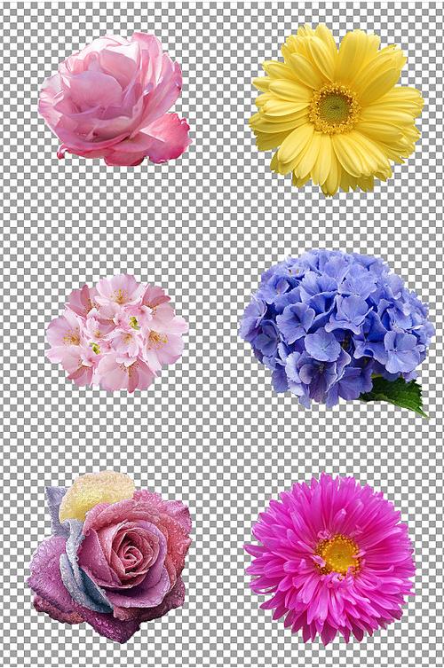 鲜花素材图片图标