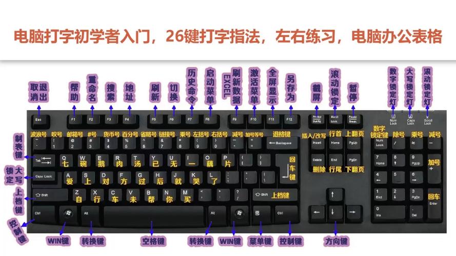 电脑学打字零基础图标