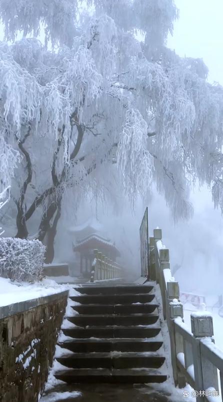 一想到以前下着雪还有些暖截图