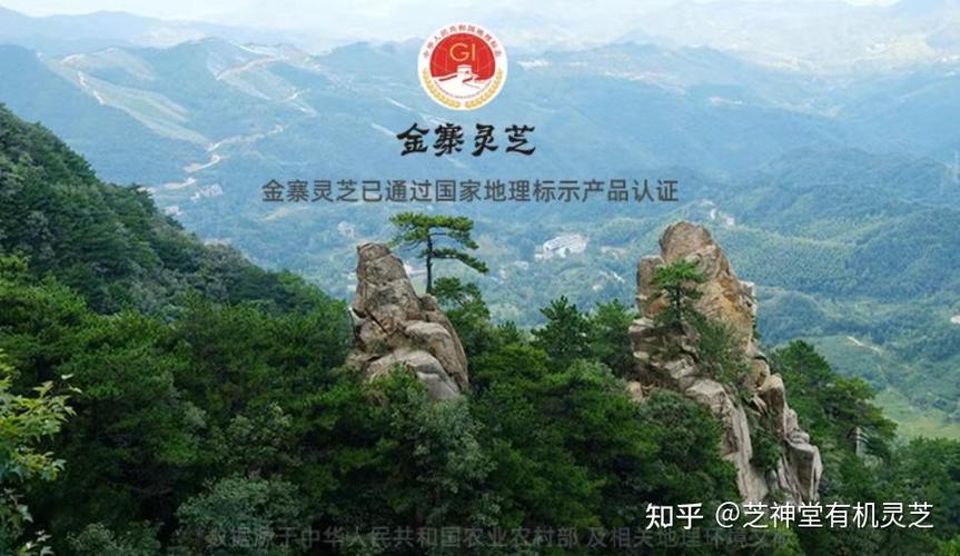 中国最好的灵芝产地