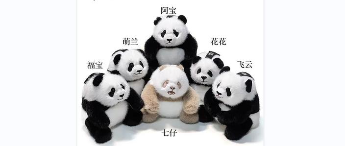 熊猫框架7.0图标