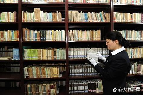 图书整理员说白了是干什么的
