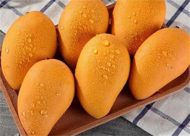 芒果保存方法图标