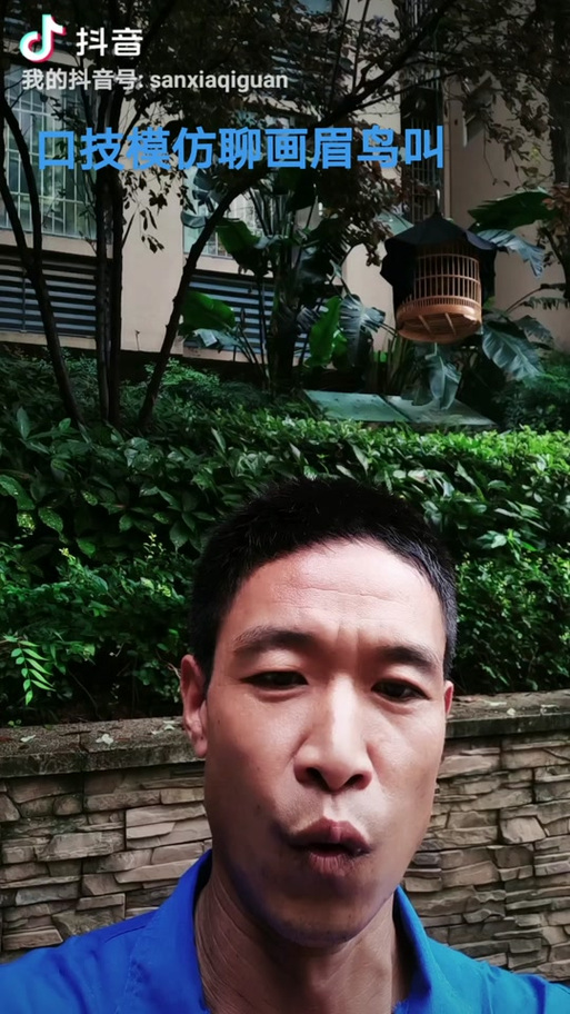 口逗画眉鸟技巧图标