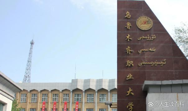 新疆人才网登录入口图标