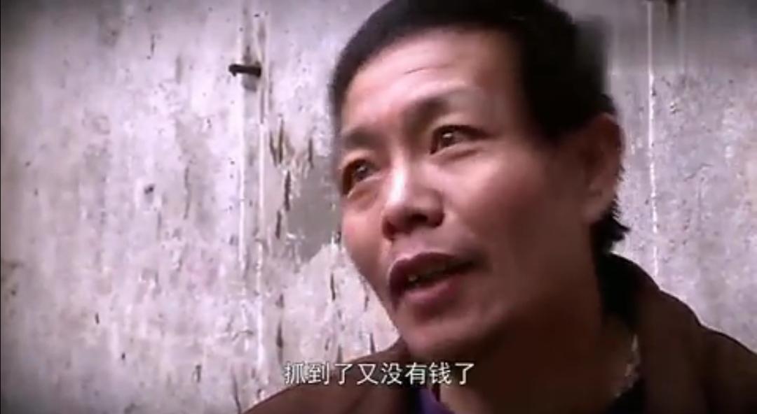最后棒棒河南做网红了图标
