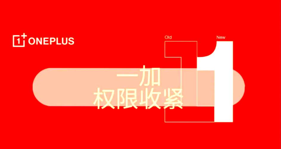 一加有bl锁吗