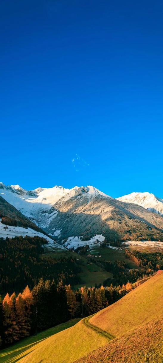 风景模式