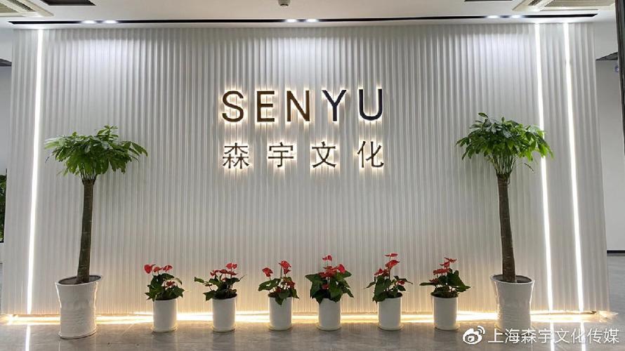 森宇文化影视图标