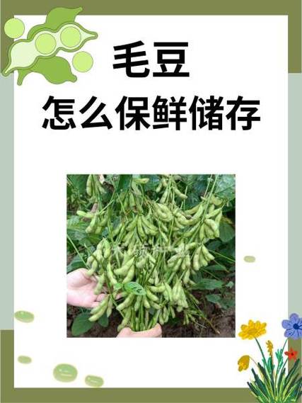毛豆冻了还能吃吗图标