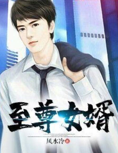 至尊女婿免费阅读何金银图标