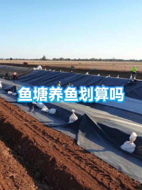 养鱼每亩能赚多少钱图标