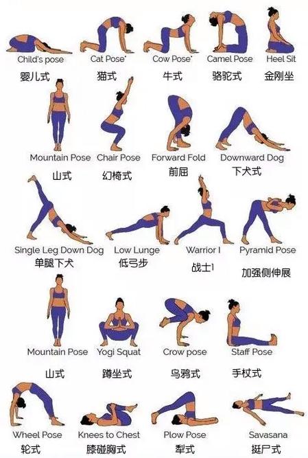 瑜伽音乐60分钟最火十首缩略图