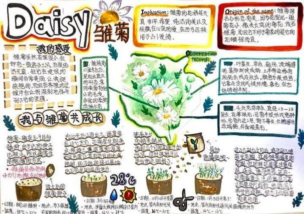 雏菊阅读任务图标