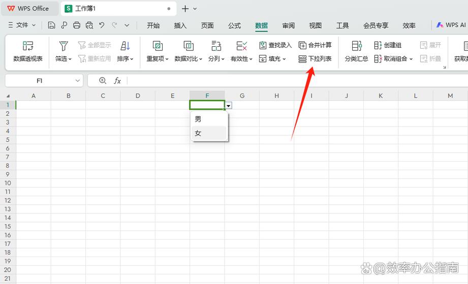 电子表格怎样添加下拉选项截图