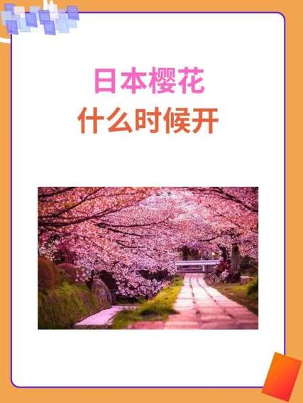 樱花观赏最佳时间图标